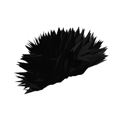 Black Spikey Porcupine Hairstyle | Roblox Item - Rolimon's