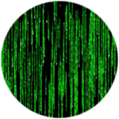 matrix-code - Roblox