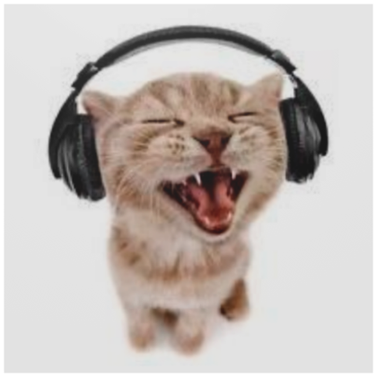 CAT LISTENING TO MUSIC PFP | Roblox Item - Rolimon's