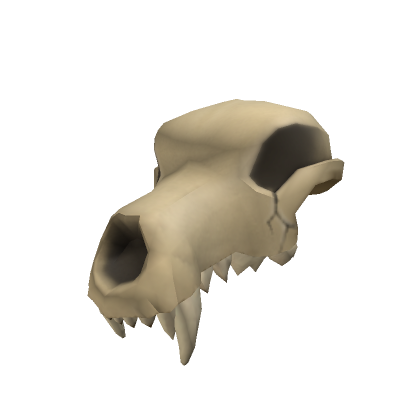 Pale Chipped Wolf Skull | Roblox Item - Rolimon's