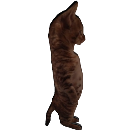 Standing Cat | Roblox Item - Rolimon's