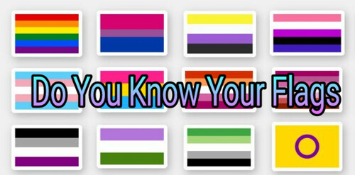 LGBTQ Impara l'Obby delle Bandiere (223 livelli) - Roblox